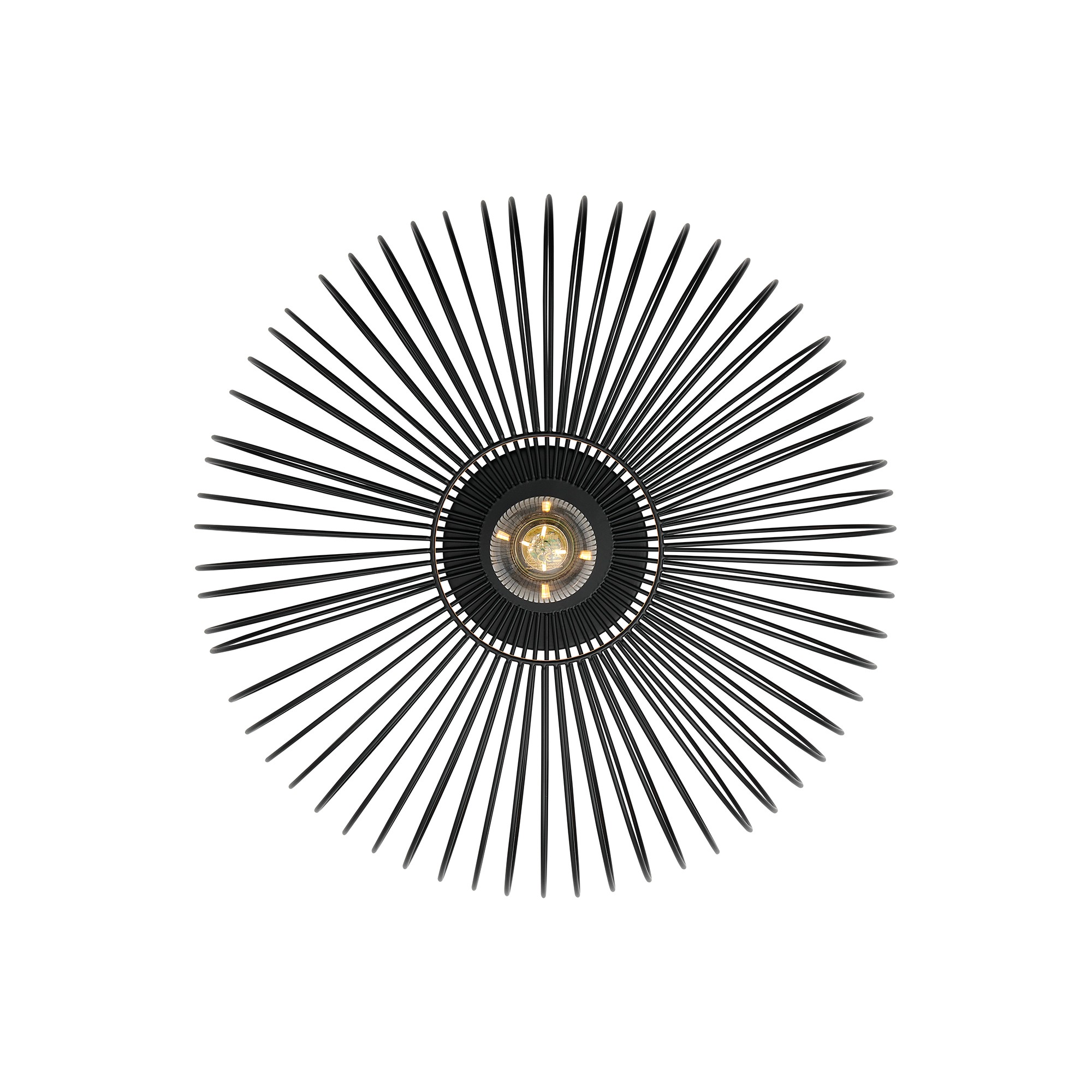 Beroni | Ceiling light | Black