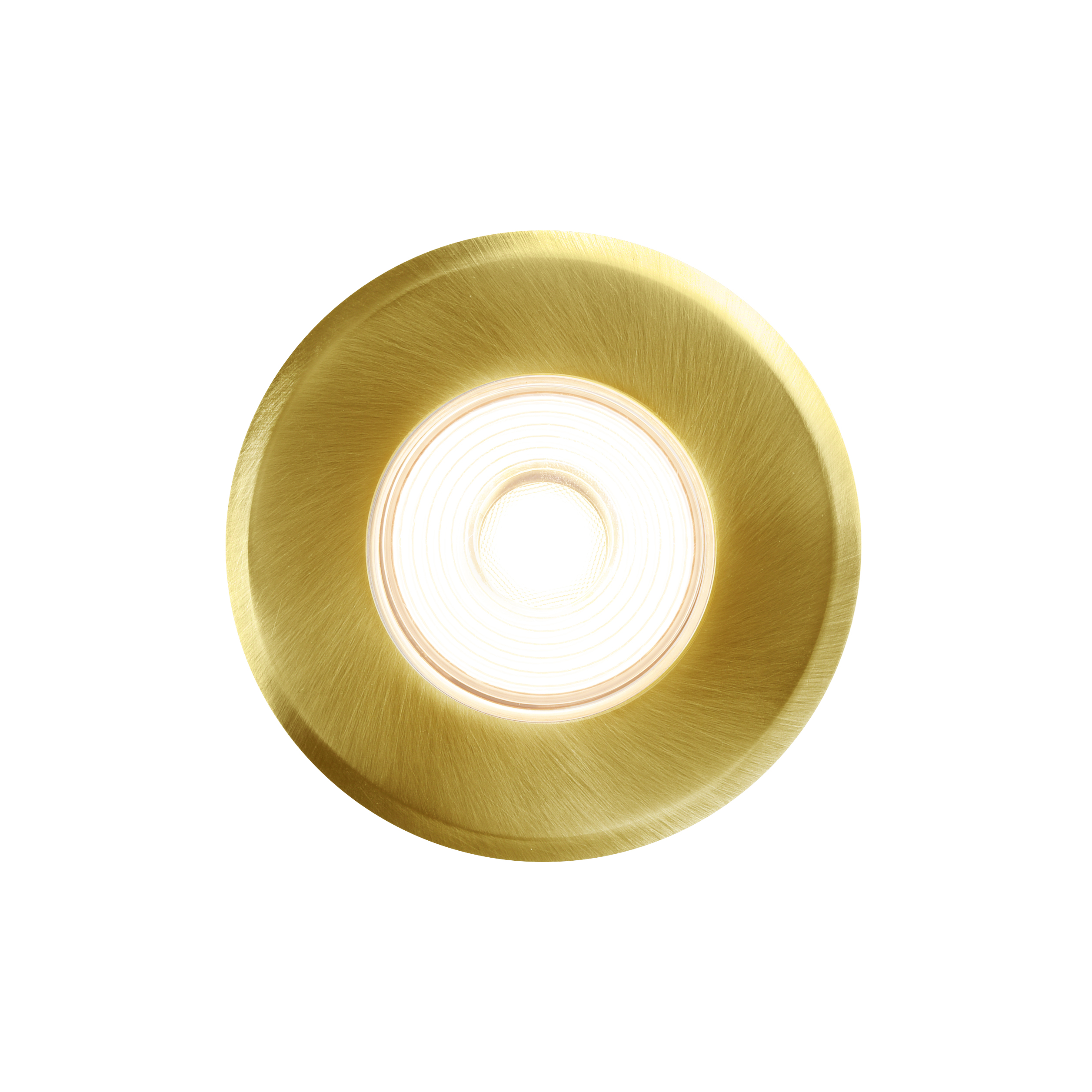 Rosalee | Downlight | Brass